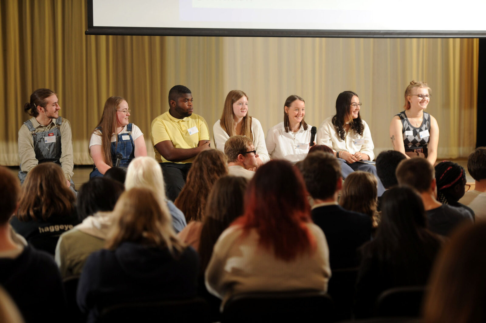 About SYP - Scottish Youth Parliament